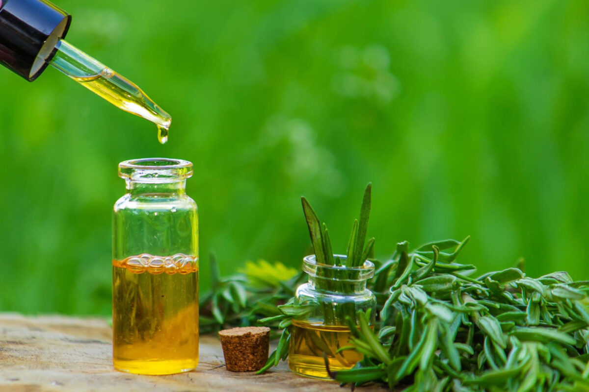 The Skin Benefits and Uses of Tea Tree Oil - CandidU